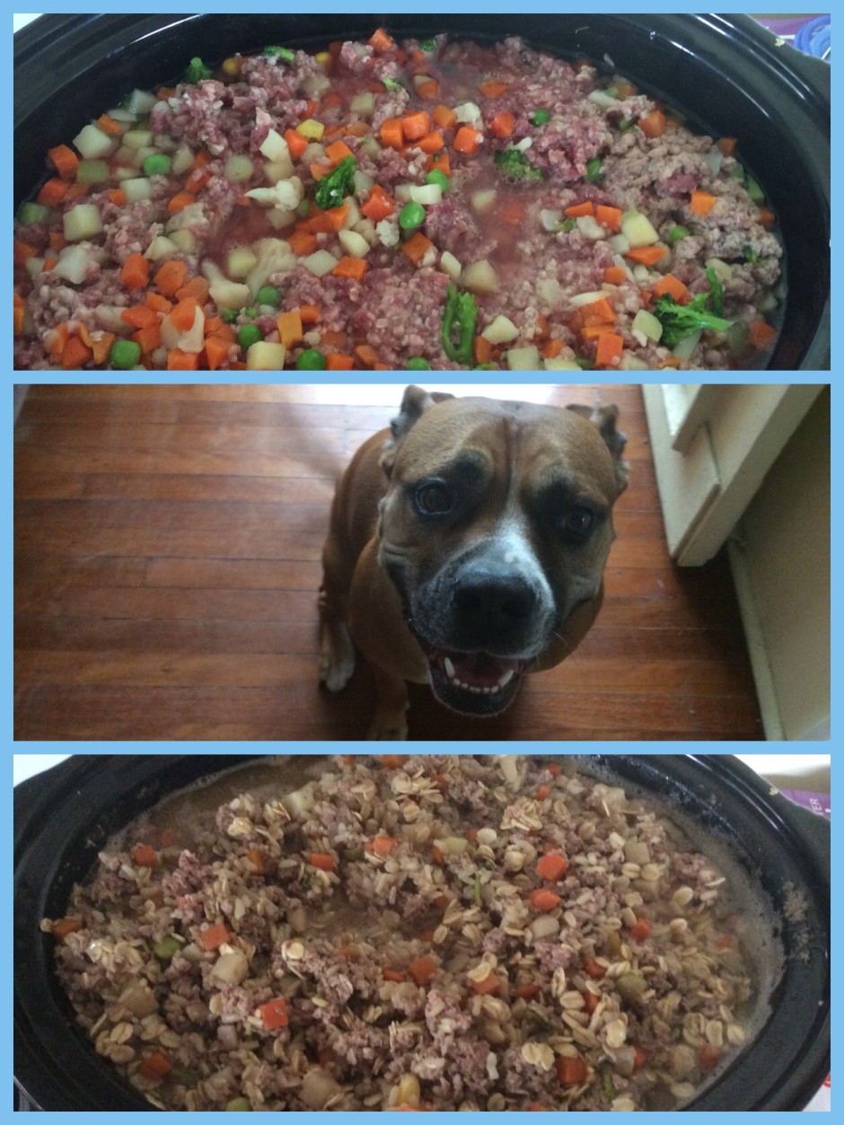 Voodoo Casserole for Dogs | Slow Cooker CentralSlow Cooker Central